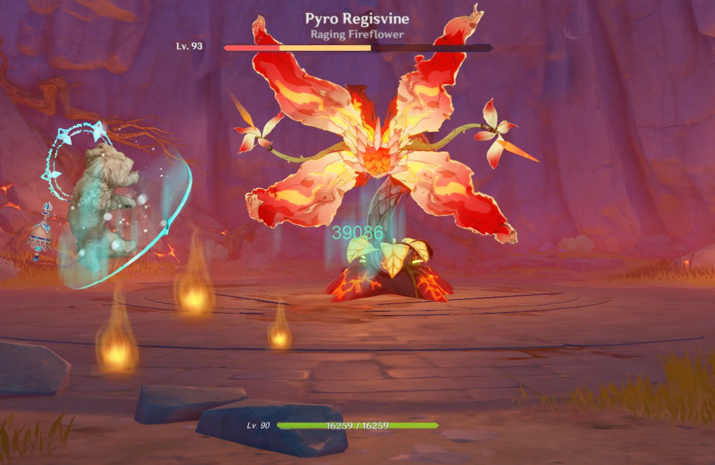 my dog vs. pyro regisvine Genshin Impact | HoYoLAB