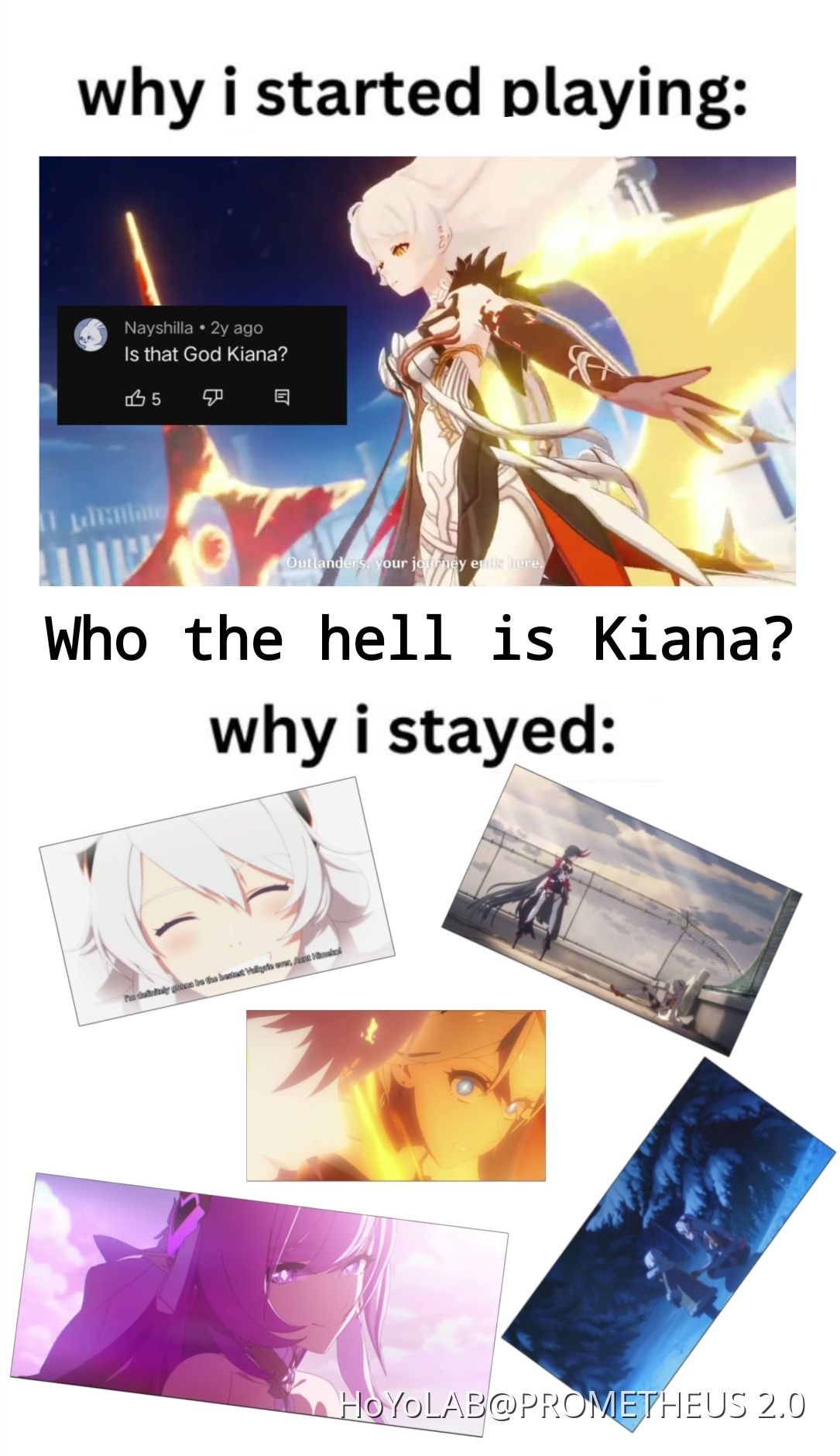 My own version of the meme Honkai Impact 3rd | HoYoLAB