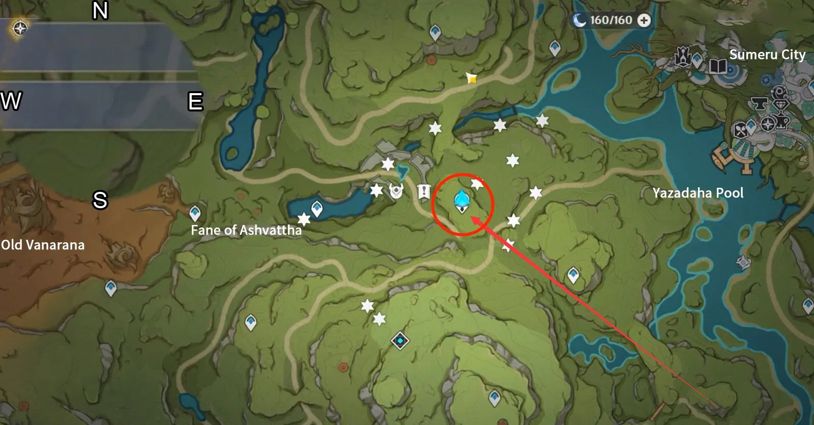 Sumeru Rainforest Chest Collection Guide 17 — East of Fane of Ashvattha ...