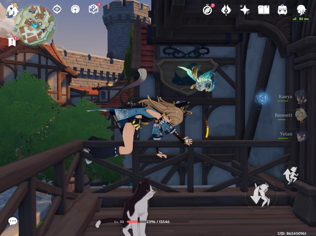 Kirara otw to the cats tail Genshin Impact | HoYoLAB