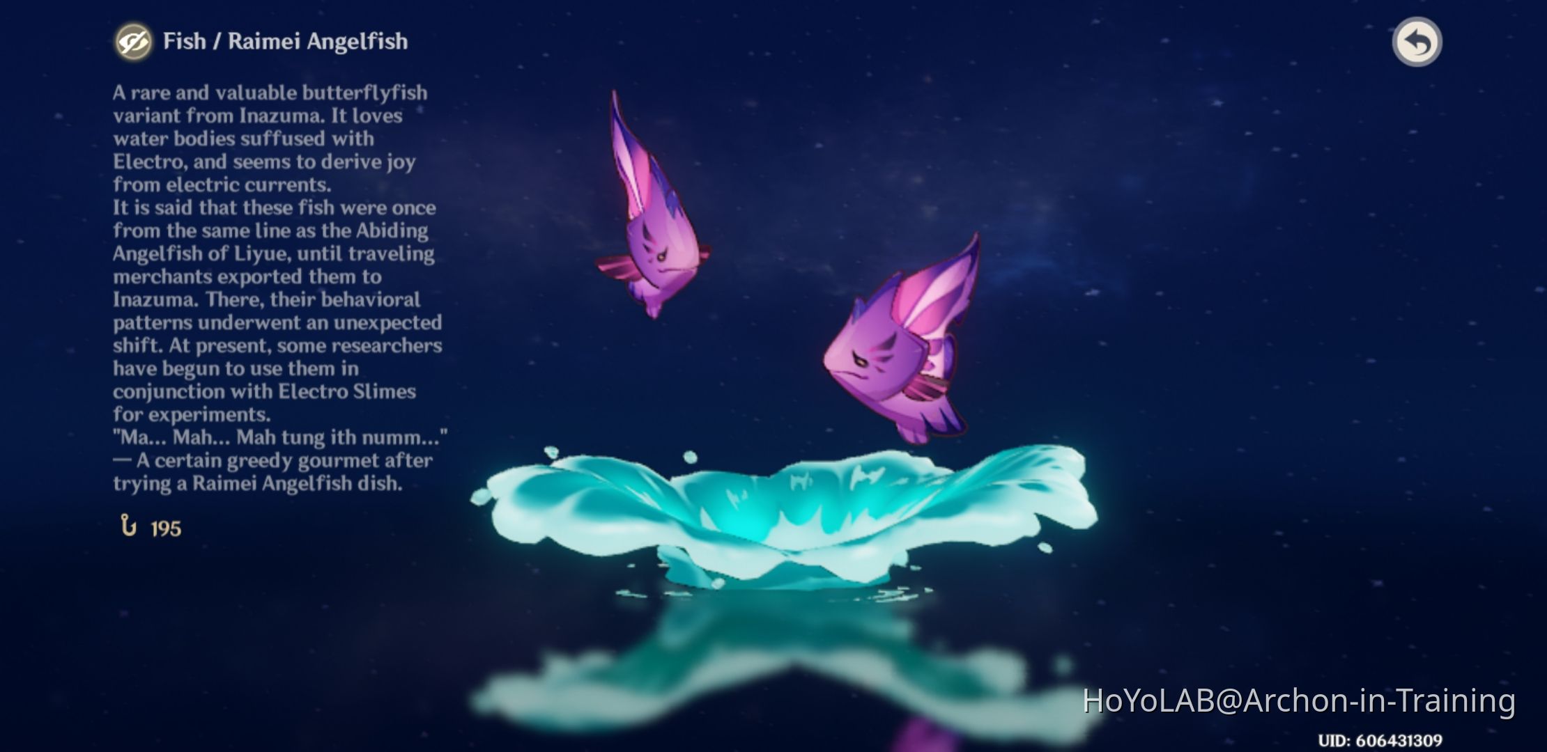 Getting ornamental Raimei Angelfish is more of a chore, than it needed ...