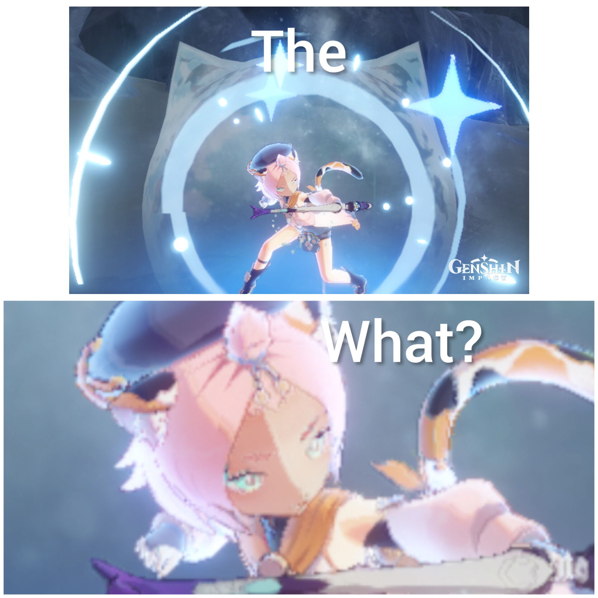 Diona-Meme🐱 ️🍷 Genshin Impact | HoYoLAB