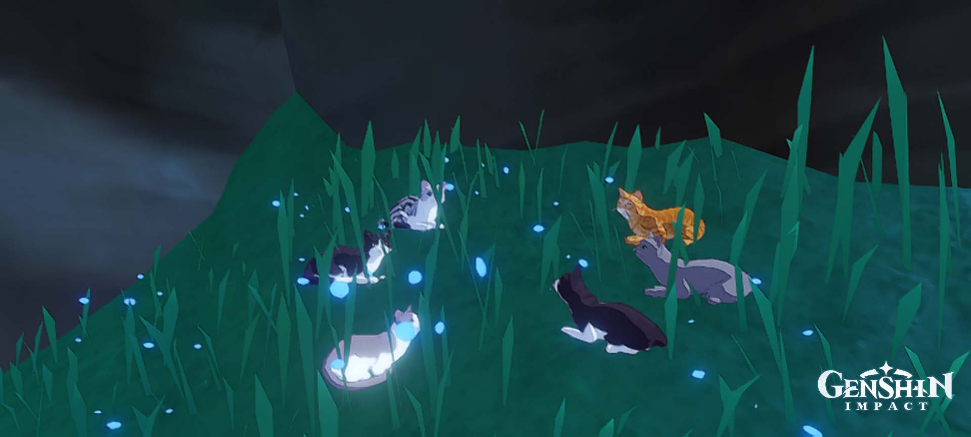 Cats of Inazuma 😺 Genshin Impact | HoYoLAB