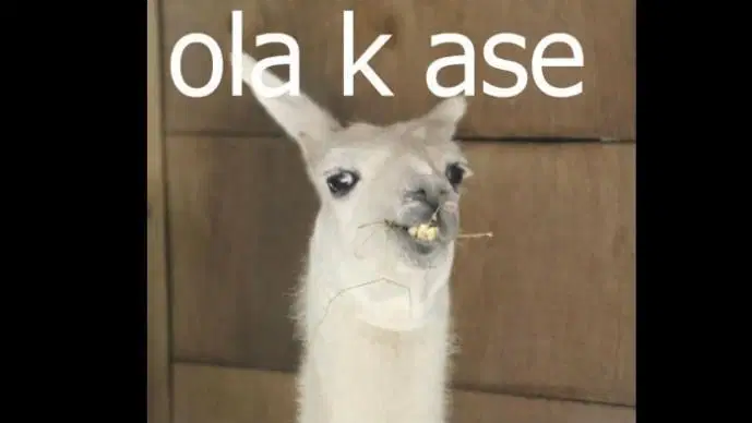 Cuando Sheila descubre los memes de 2012 Honkai: Star Rail | HoYoLAB