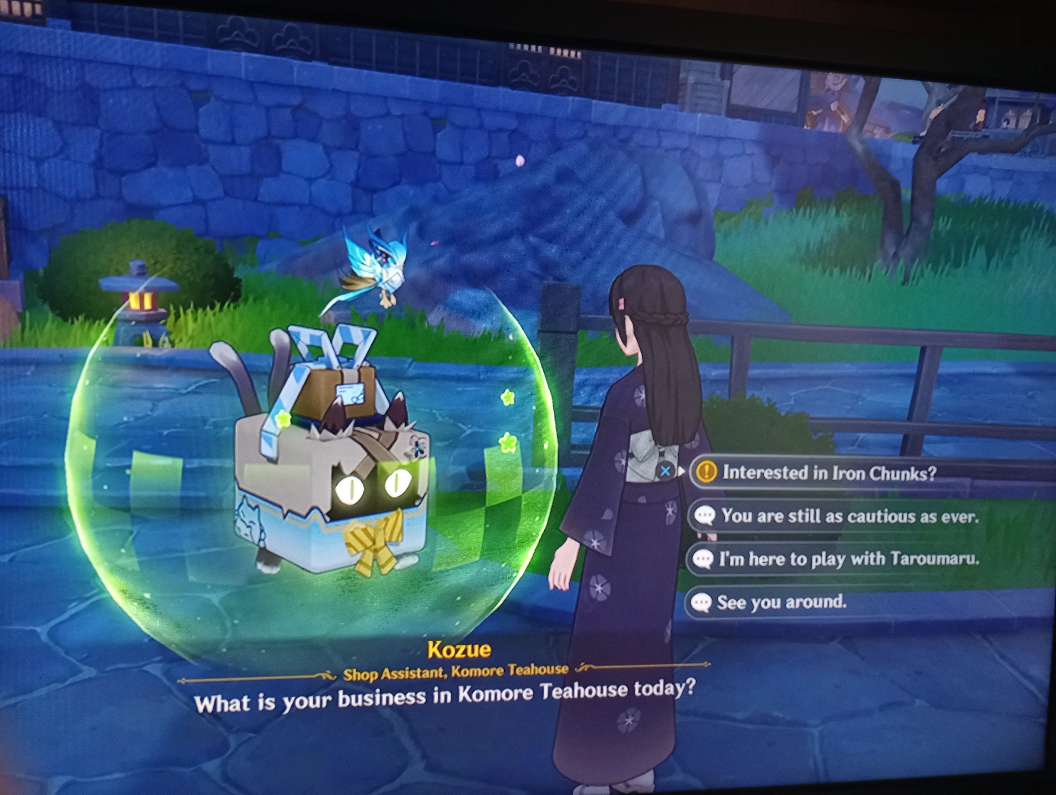 Talking to random NPC'S in Kirara's box form?! Genshin Impact | HoYoLAB