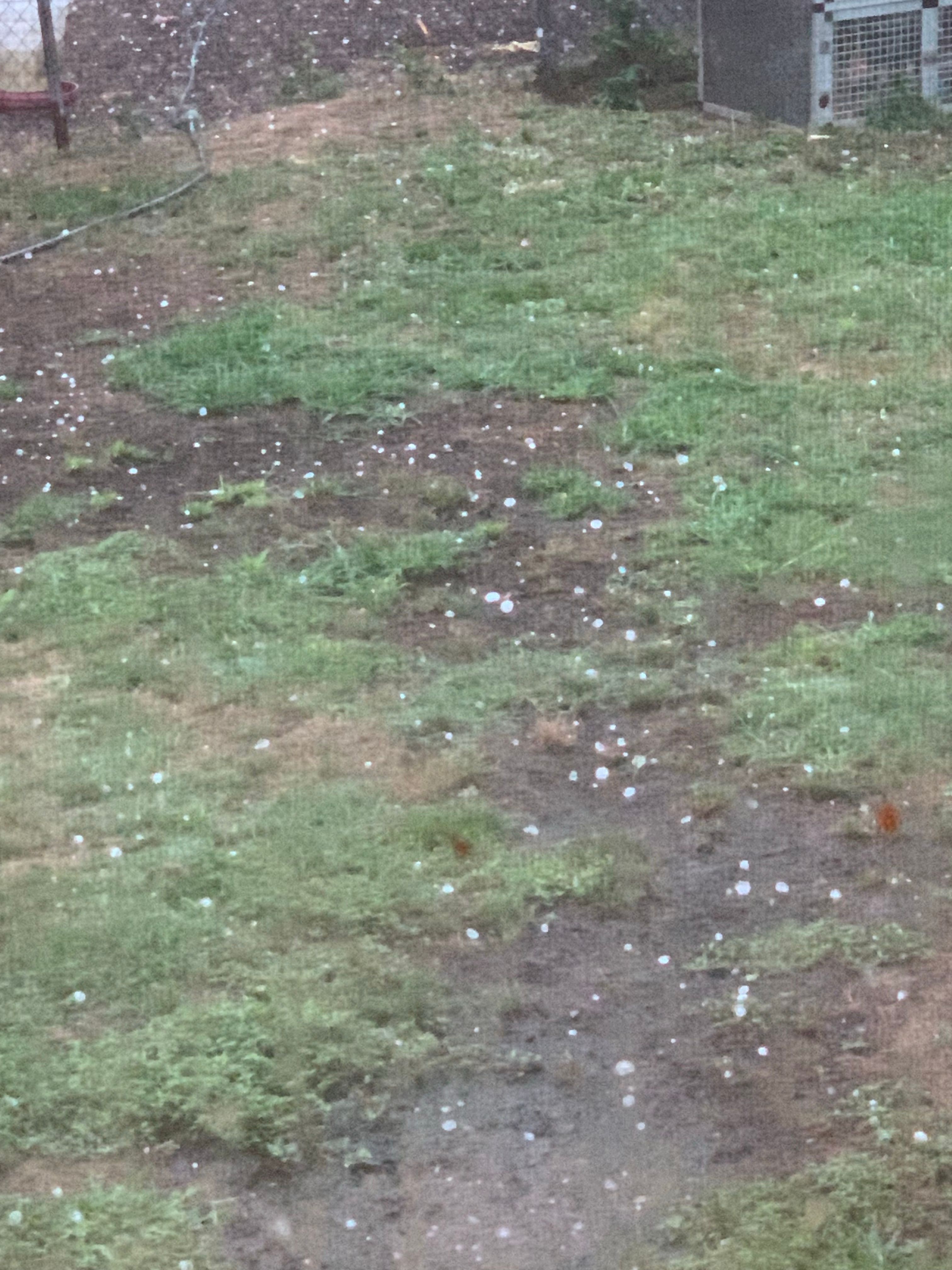 Umm….hail..it’s hailing outside 🥲 | HoYoLAB