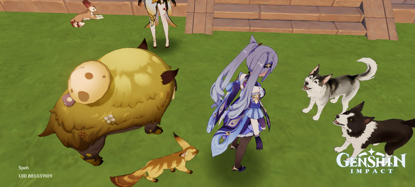 I lost my 50/50 Genshin Impact | HoYoLAB