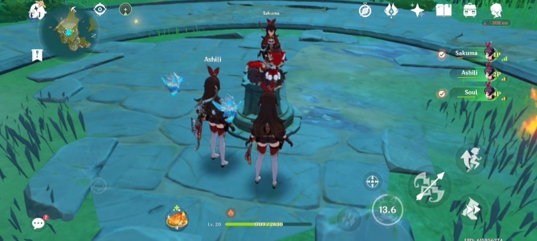 Go Go Baron Bunny! Genshin Impact | HoYoLAB