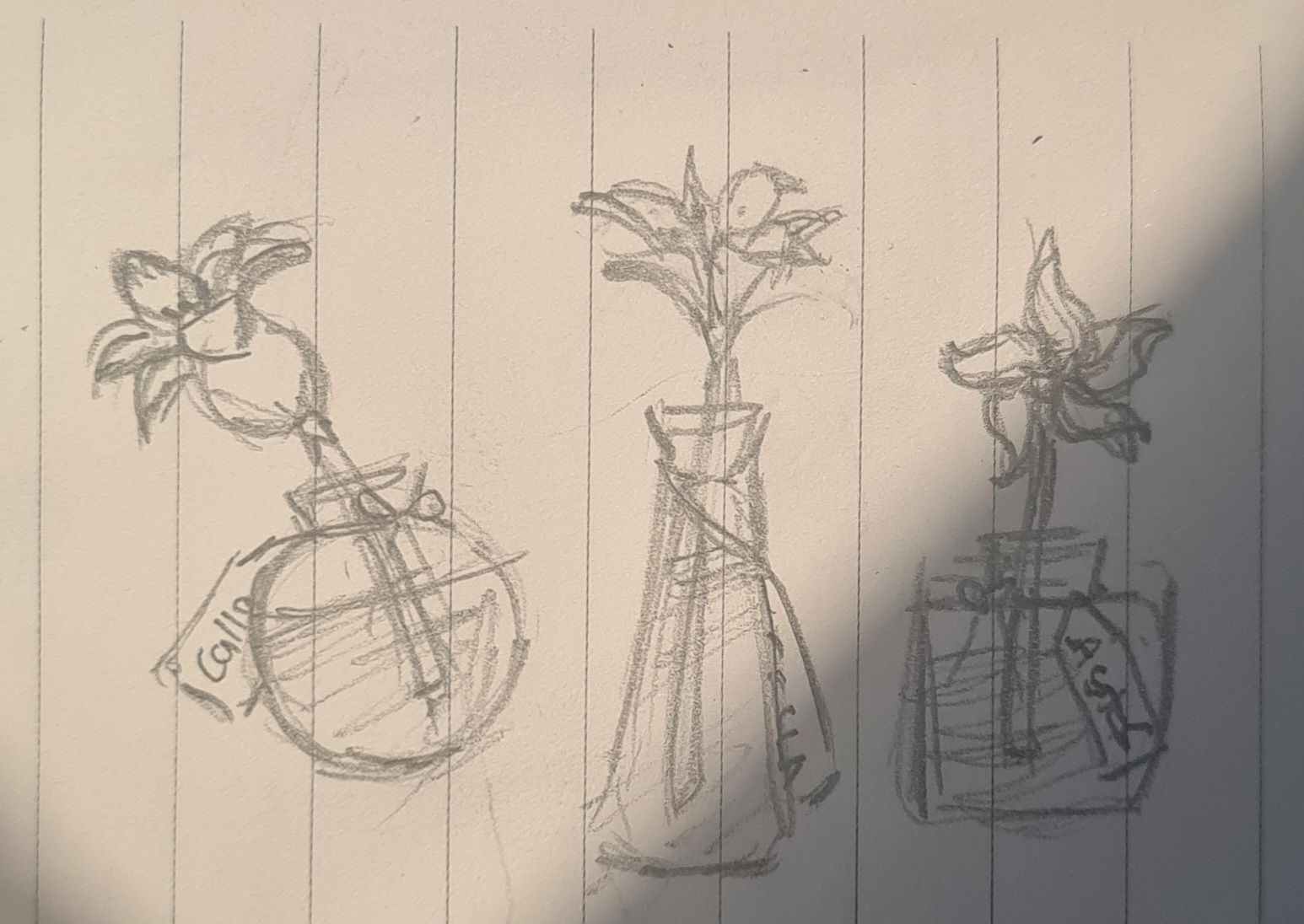 Flowers of Mondstat :) Genshin Impact | HoYoLAB