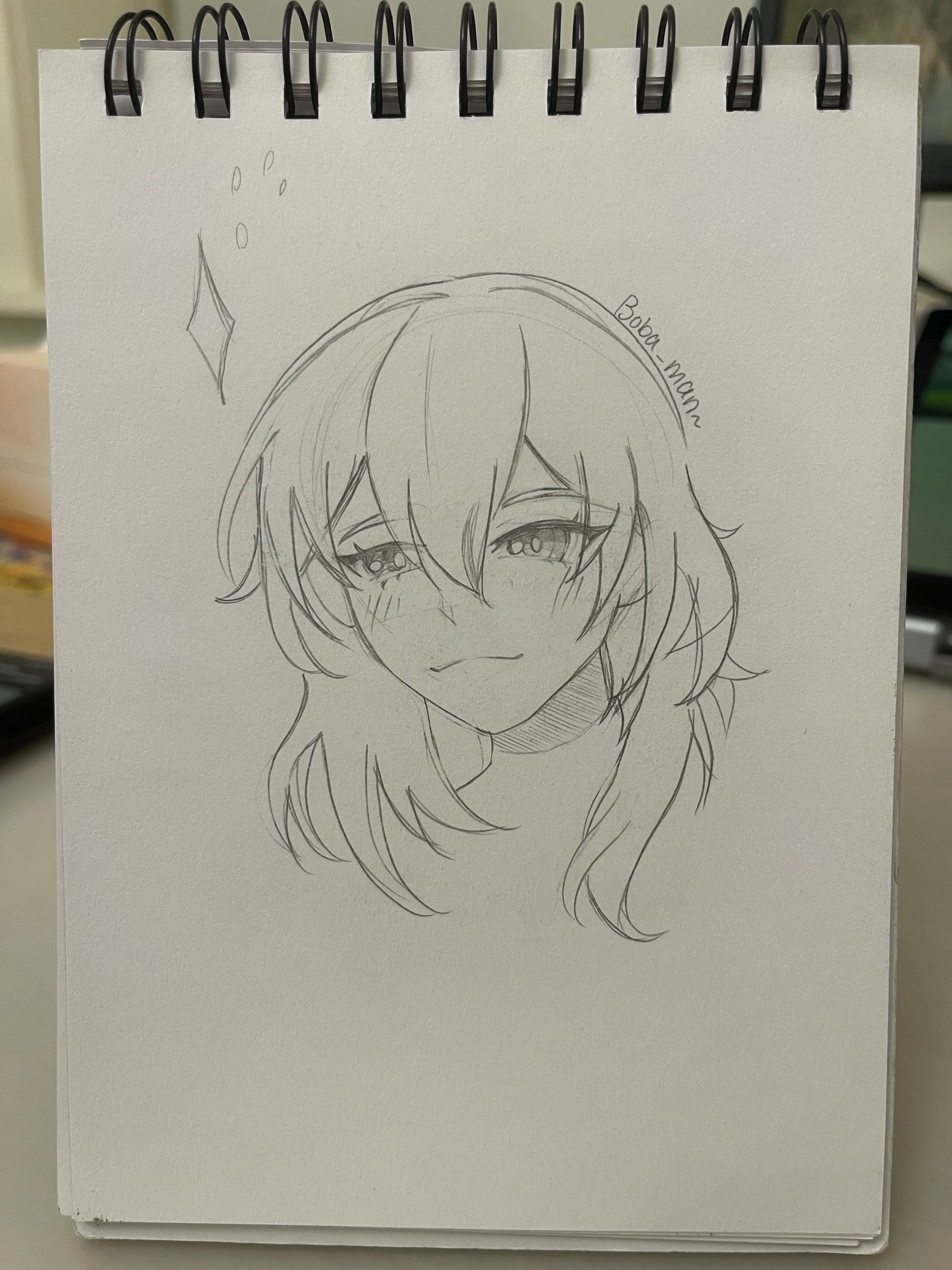 Stelle my pet raccoon