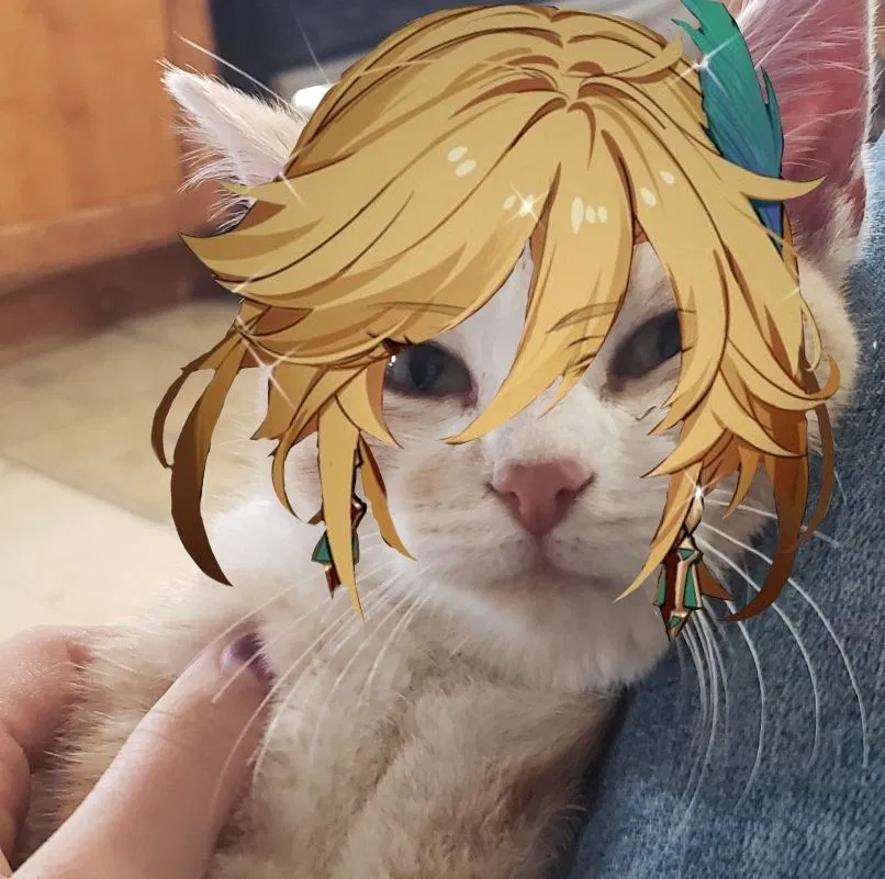 my cat is now kaveh (⁠ ⁠ꈍ⁠ᴗ⁠ꈍ⁠) Genshin Impact | HoYoLAB