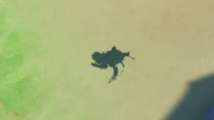 [Genshin Shadow Challenge] Who’s That Character? Genshin Impact | HoYoLAB