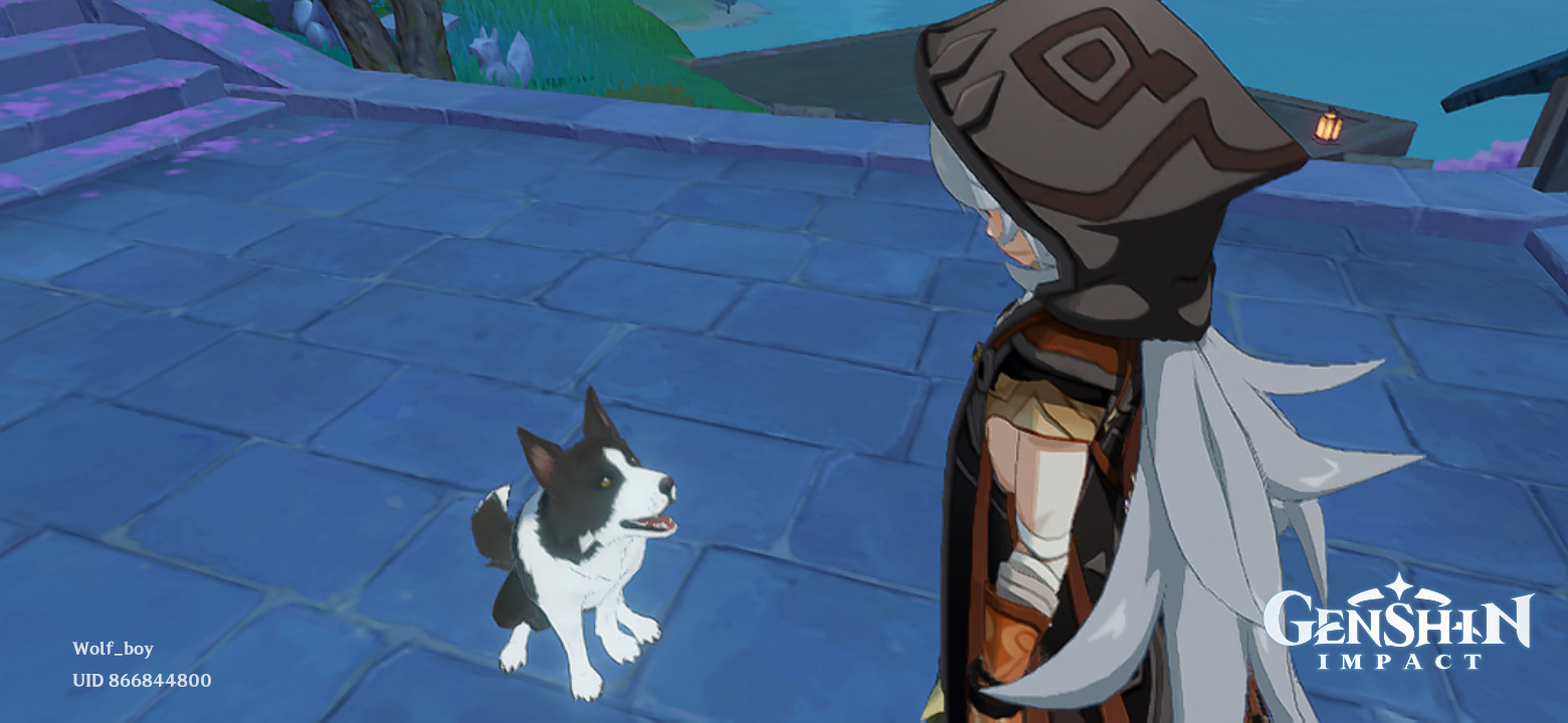 just watching the dog Genshin Impact | HoYoLAB