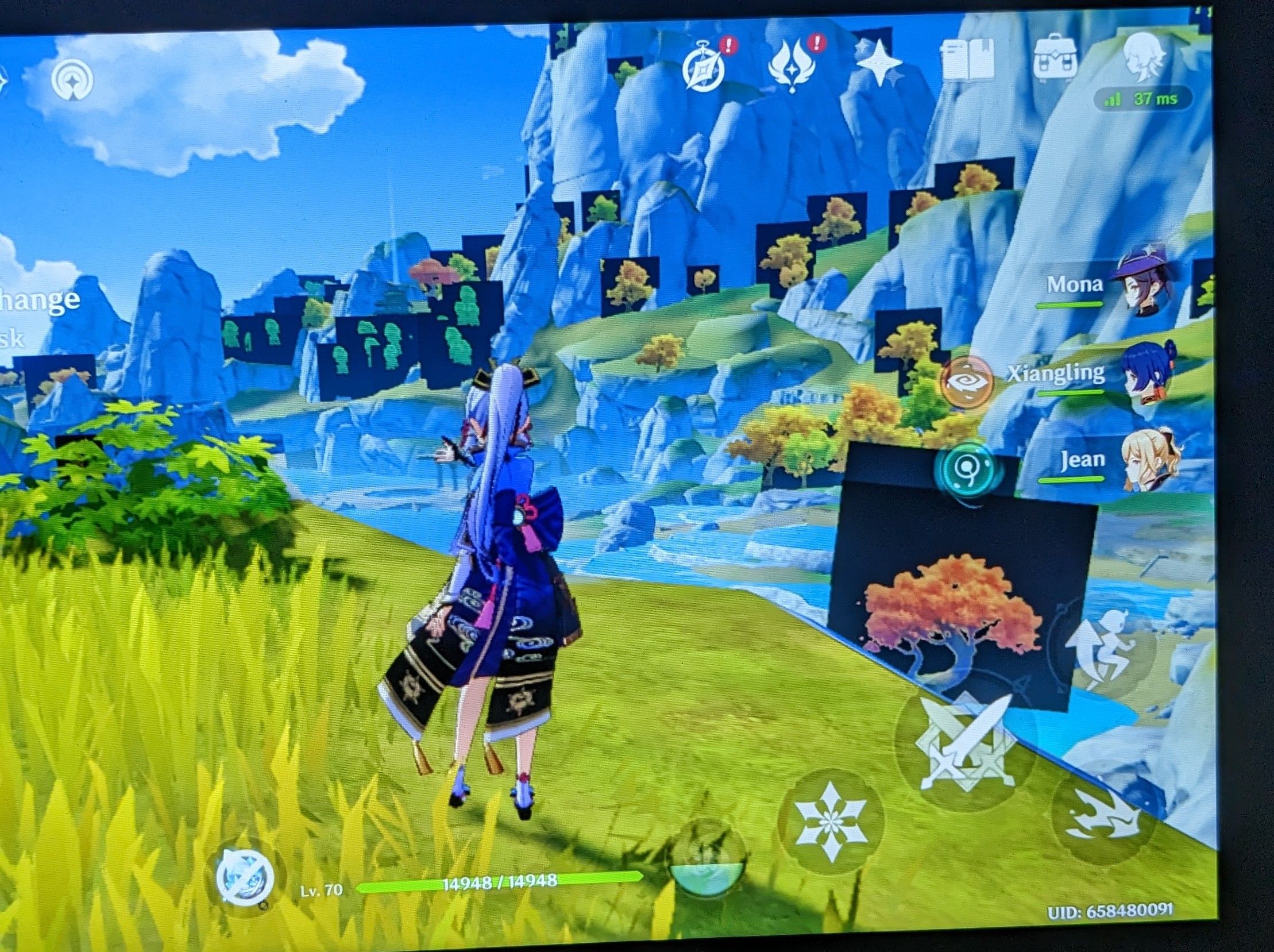 WHAT HAPPENED TO THE TREES 😳 Genshin Impact | HoYoLAB