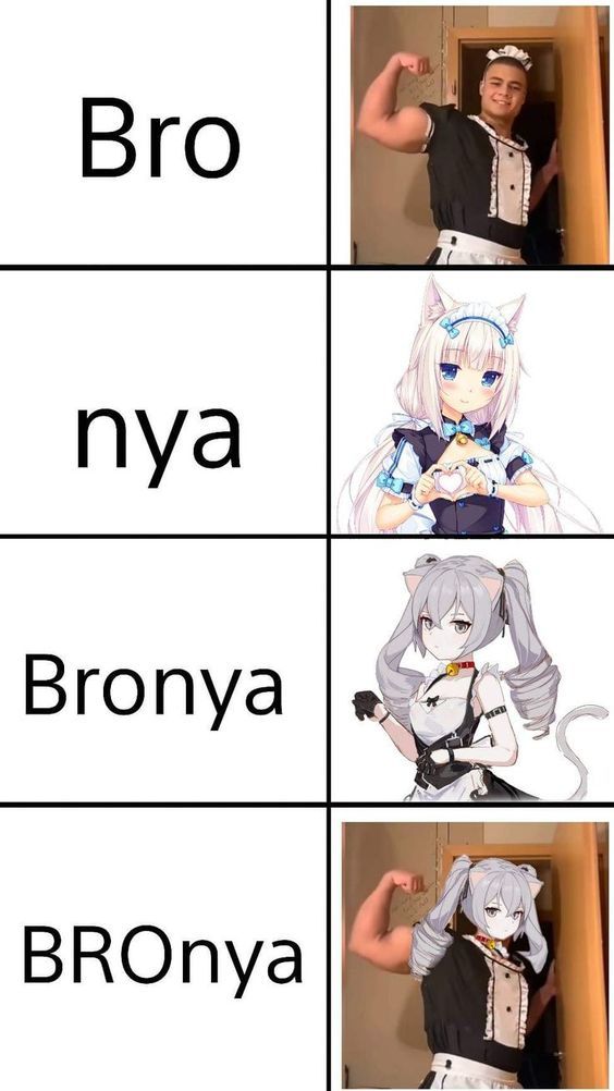 BROnya! | HoYoLAB