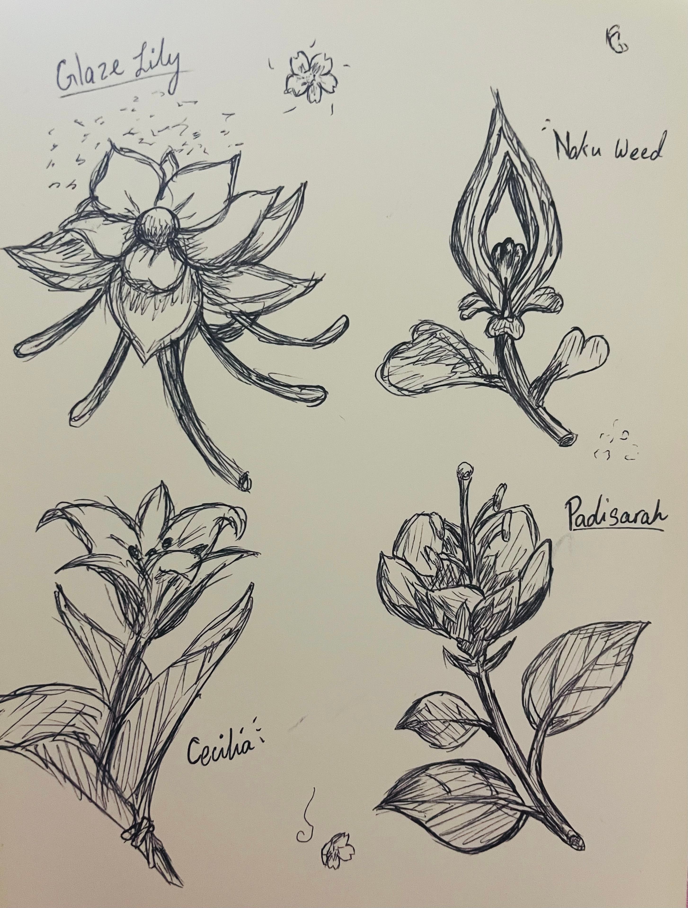 Flowers Genshin Impact | HoYoLAB