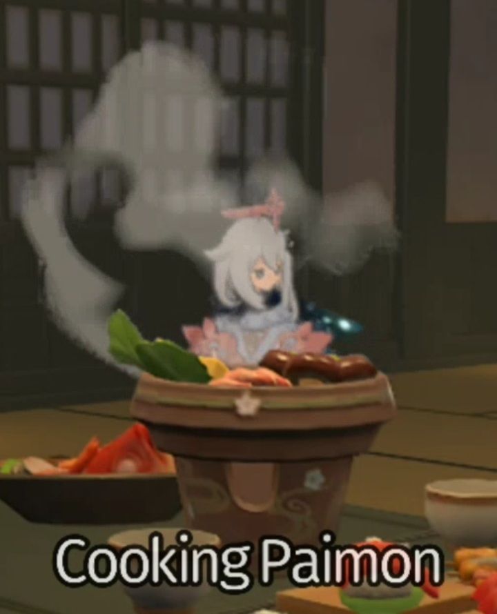 Paimon with a side of chicken and vegetables Genshin Impact | HoYoLAB