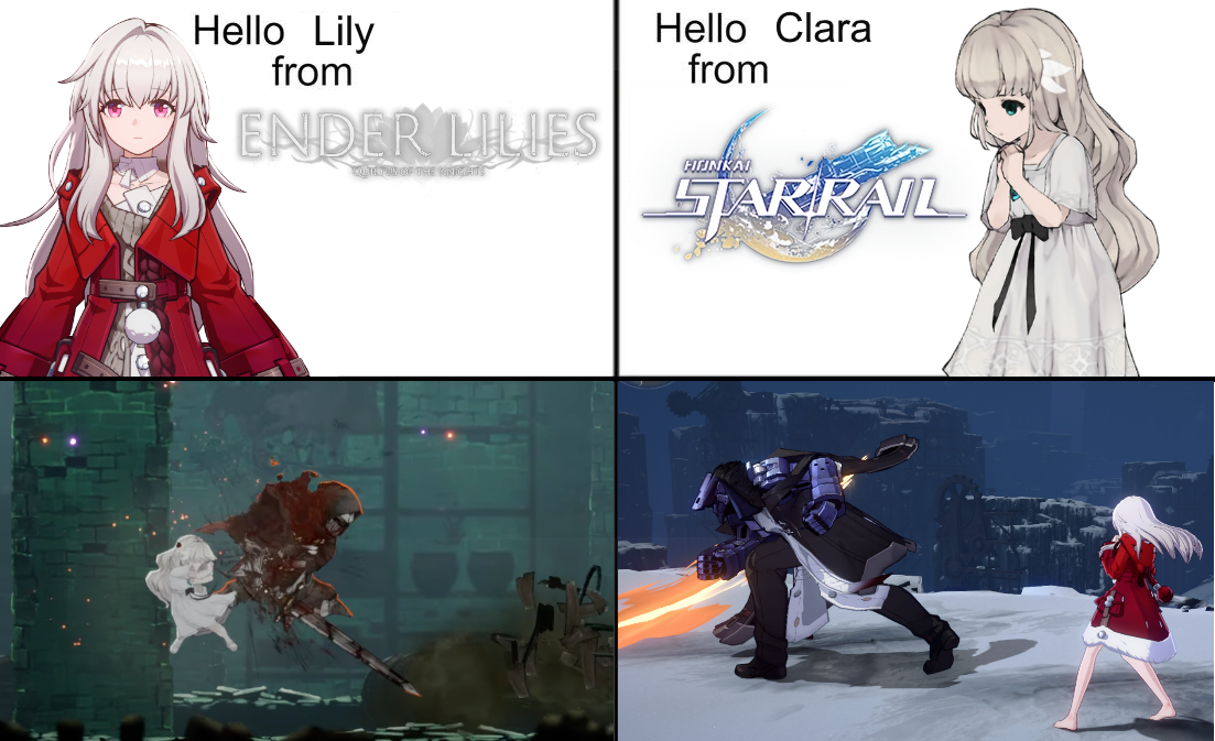 Hello, Lily Honkai: Star Rail | HoYoLAB