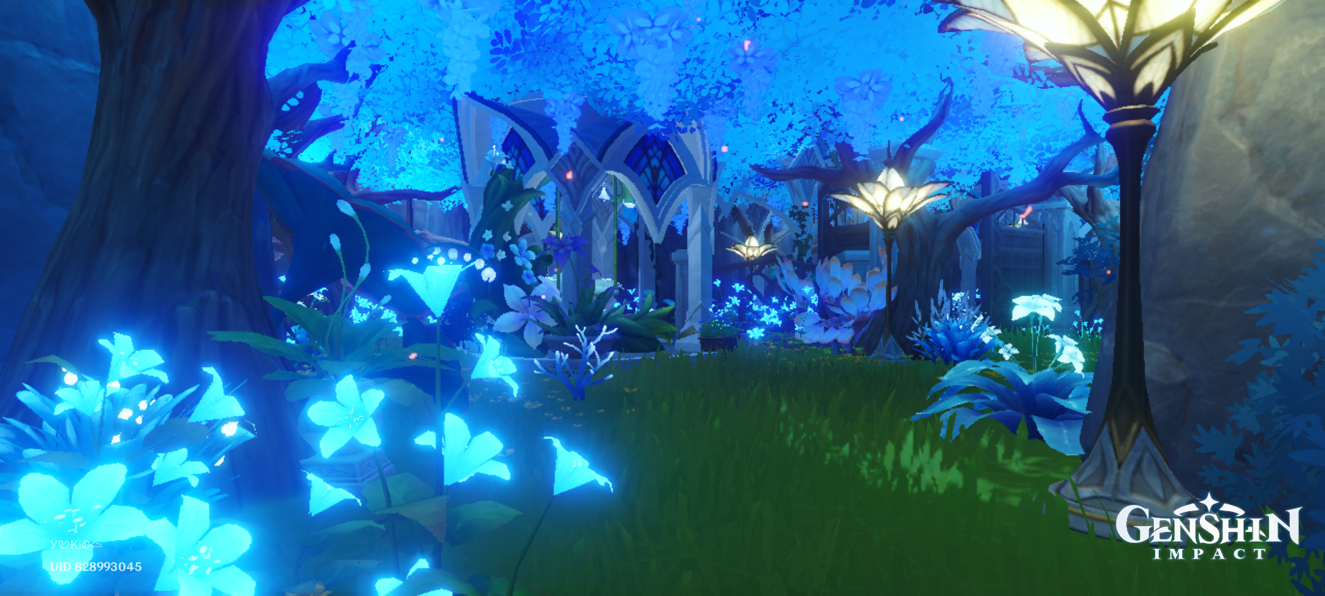 Layla's Moonlight Garden Genshin Impact | HoYoLAB