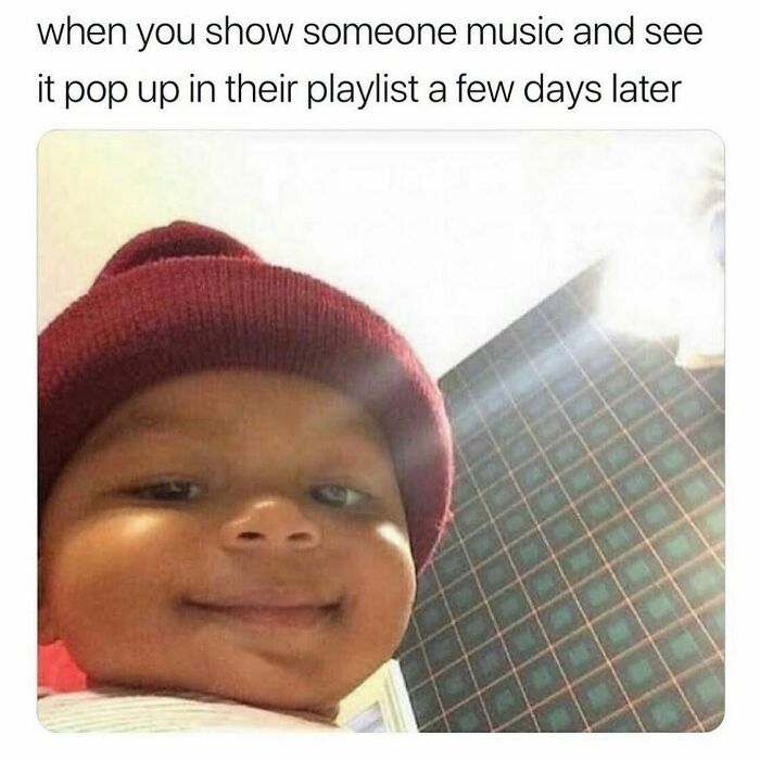 Memes that just slap! 🖐️ | HoYoLAB