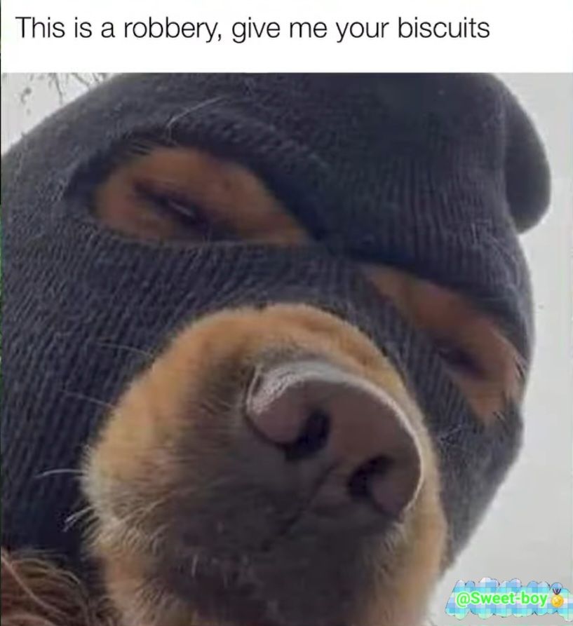 This is a robbery, give me your biscuits | HoYoLAB