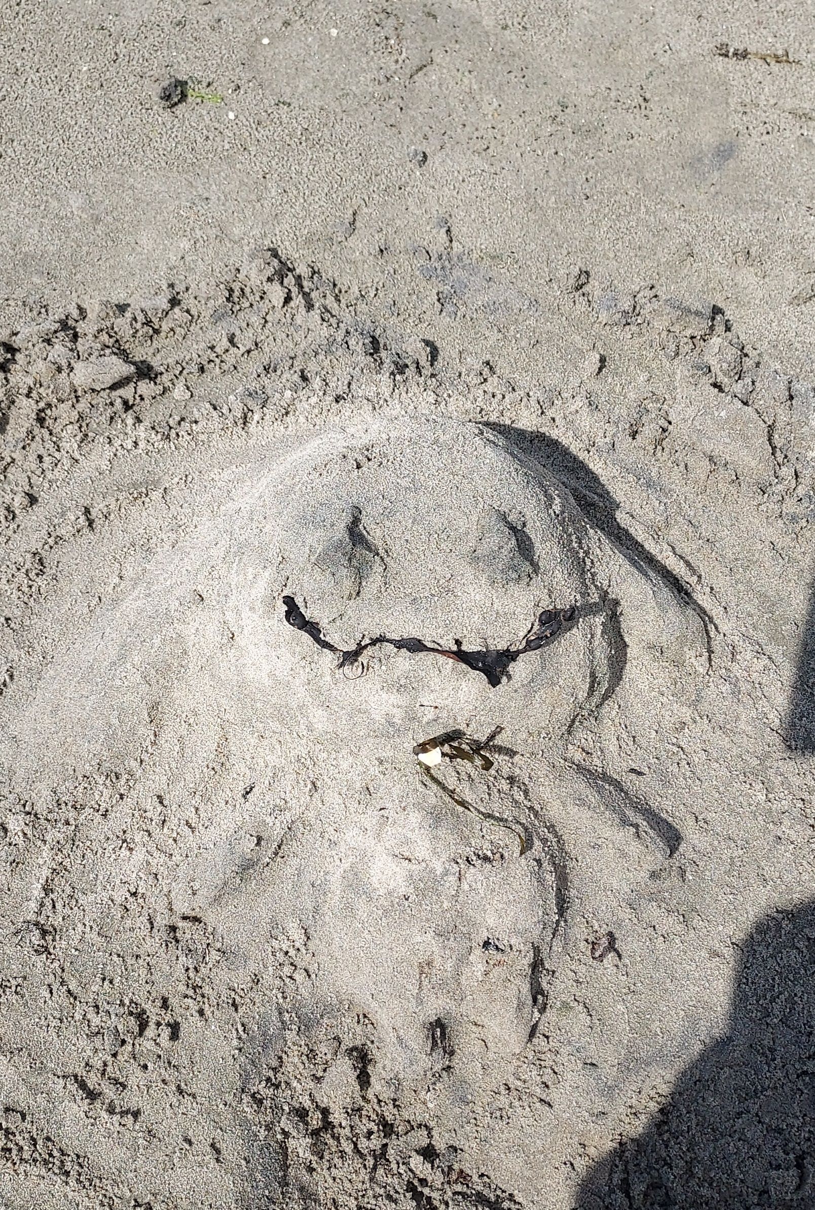 Sand aranara x) Genshin Impact | HoYoLAB