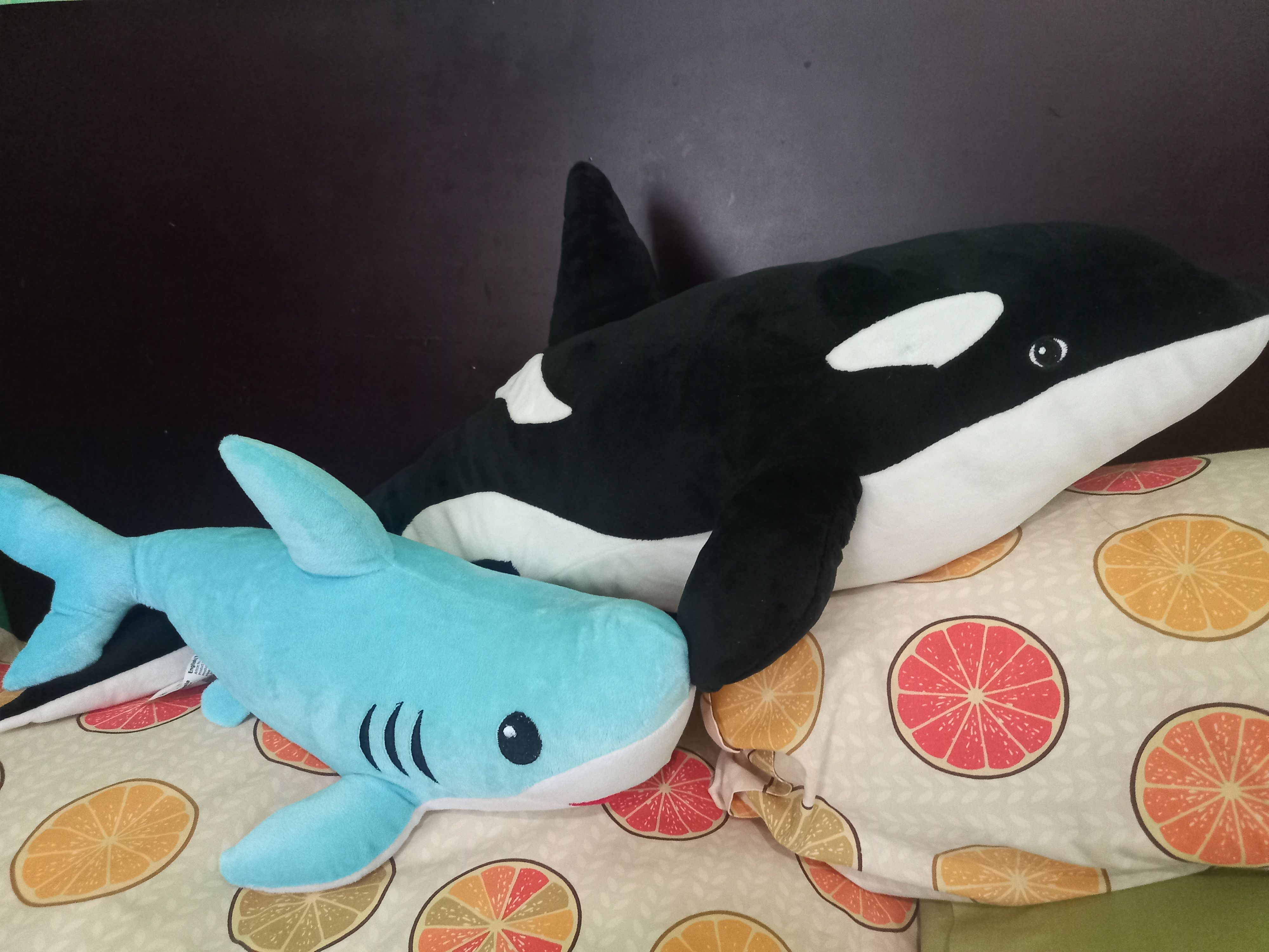 My sea animals plushie ☺ | HoYoLAB