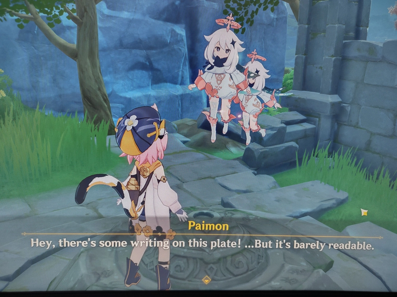 Double the Food Source Genshin Impact | HoYoLAB