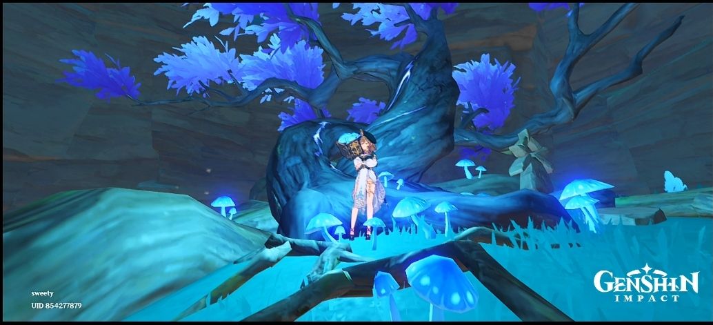 Tsurumi Island Tree Selfie (⁠ ⁠દ⁠ ⁠) Genshin Impact | HoYoLAB