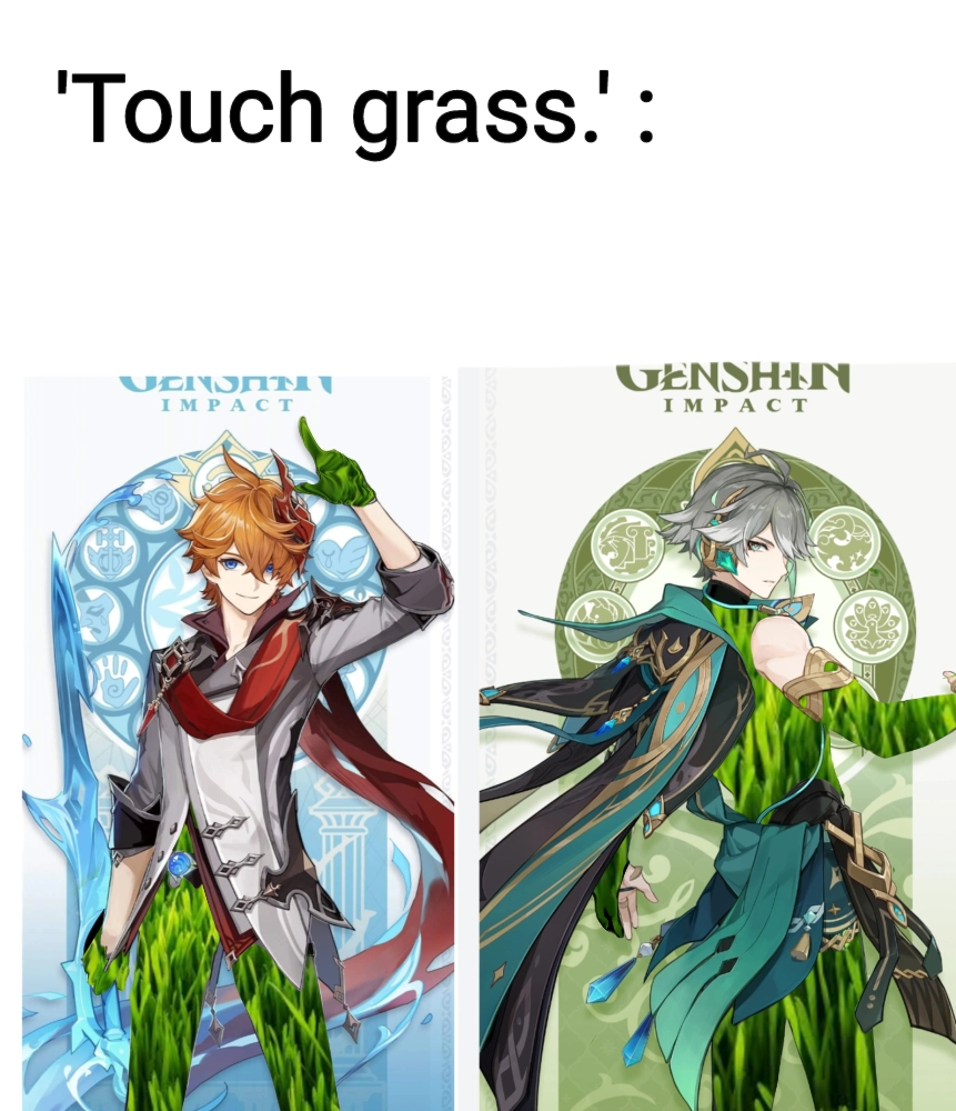 Touch grass meme but which grass are you touching? Genshin Impact | HoYoLAB