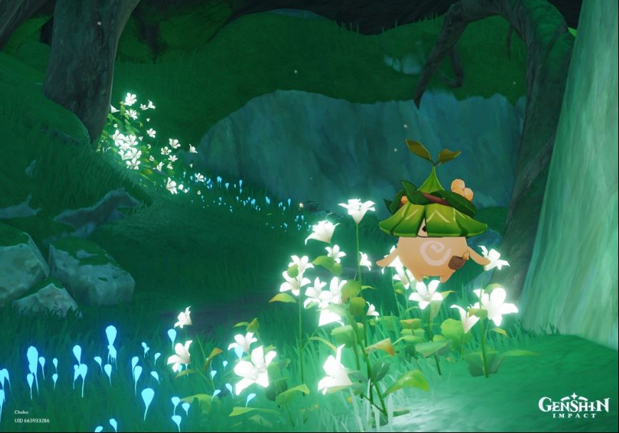 Beautiful Sumeru Genshin Impact | HoYoLAB