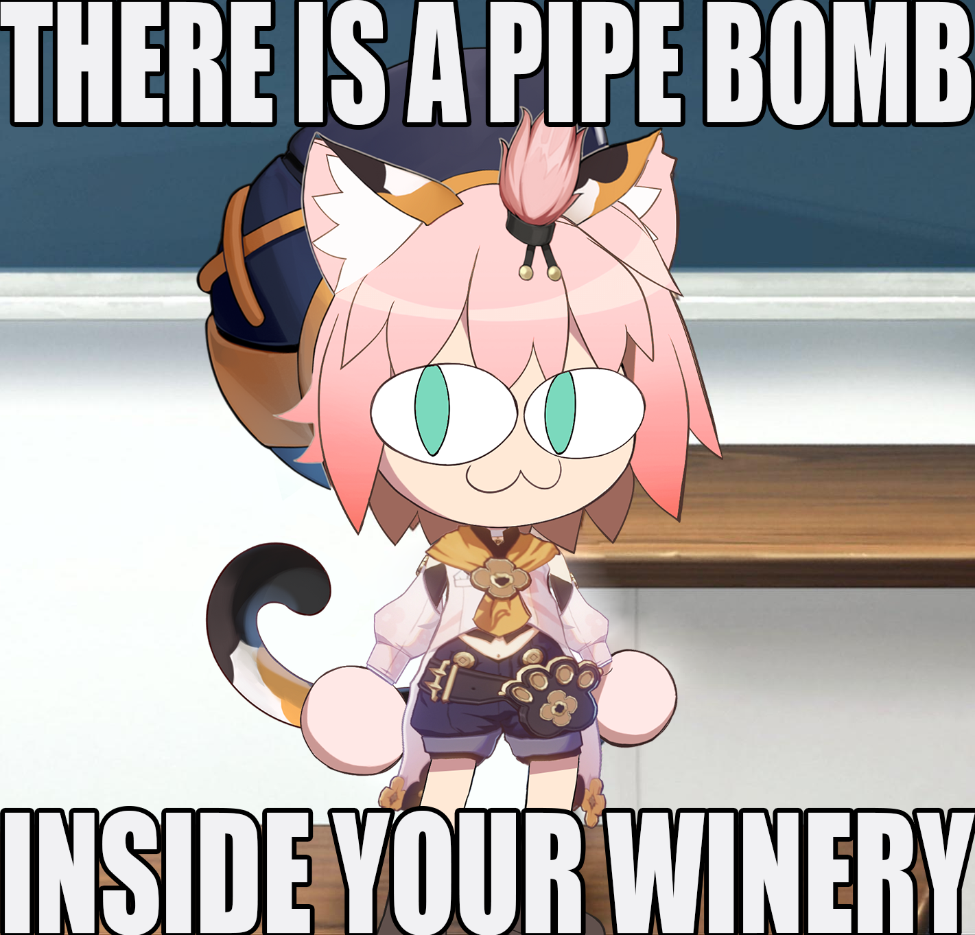 Meme Diona #1 Genshin Impact | HoYoLAB