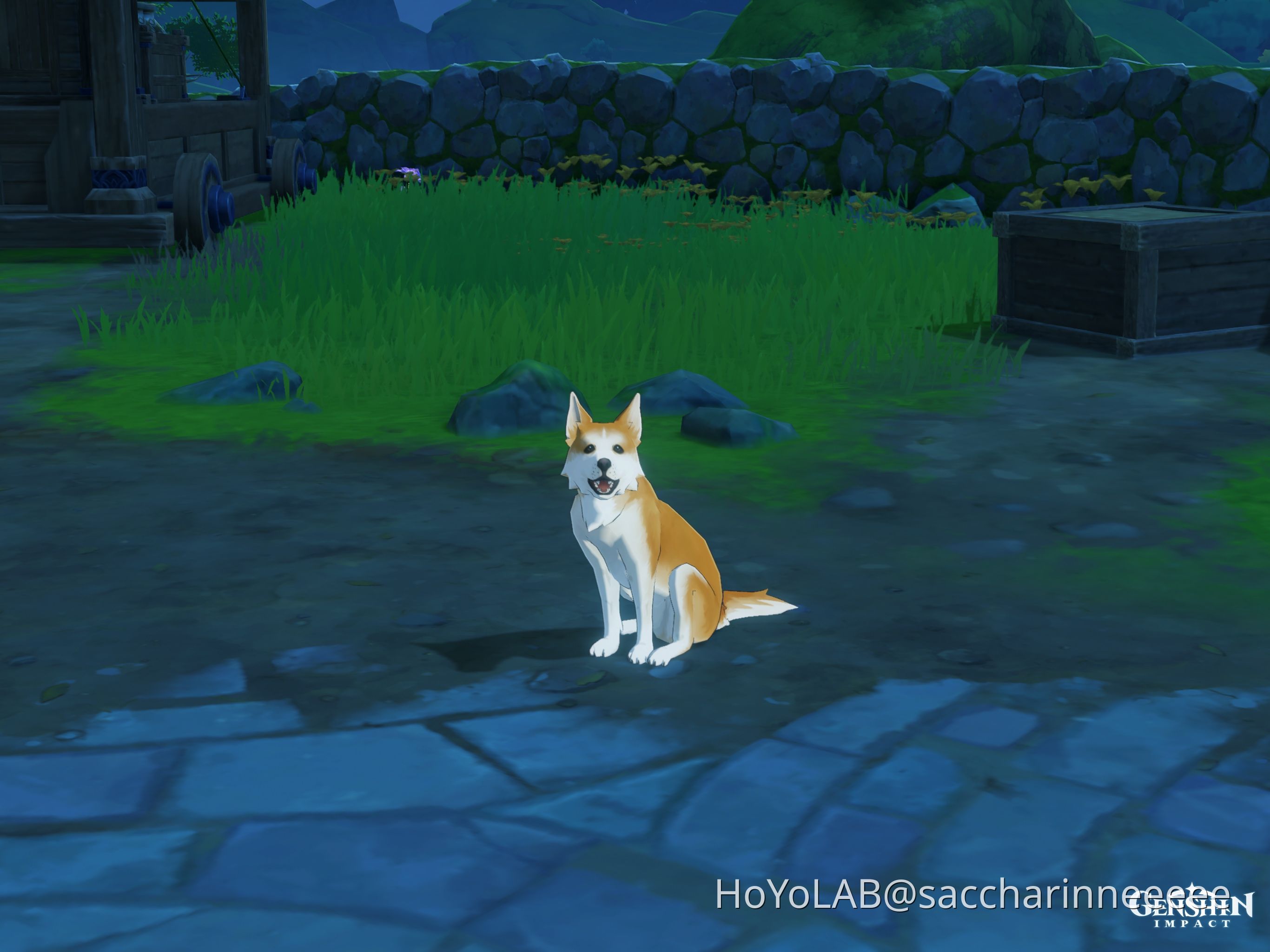Dog Genshin Impact | HoYoLAB