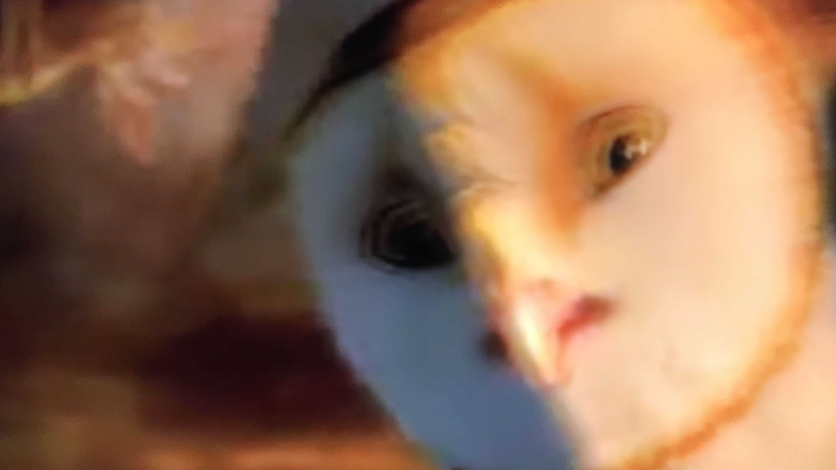 Soren is my favorite character from Guardians of Ga’hoole and Legend of ...