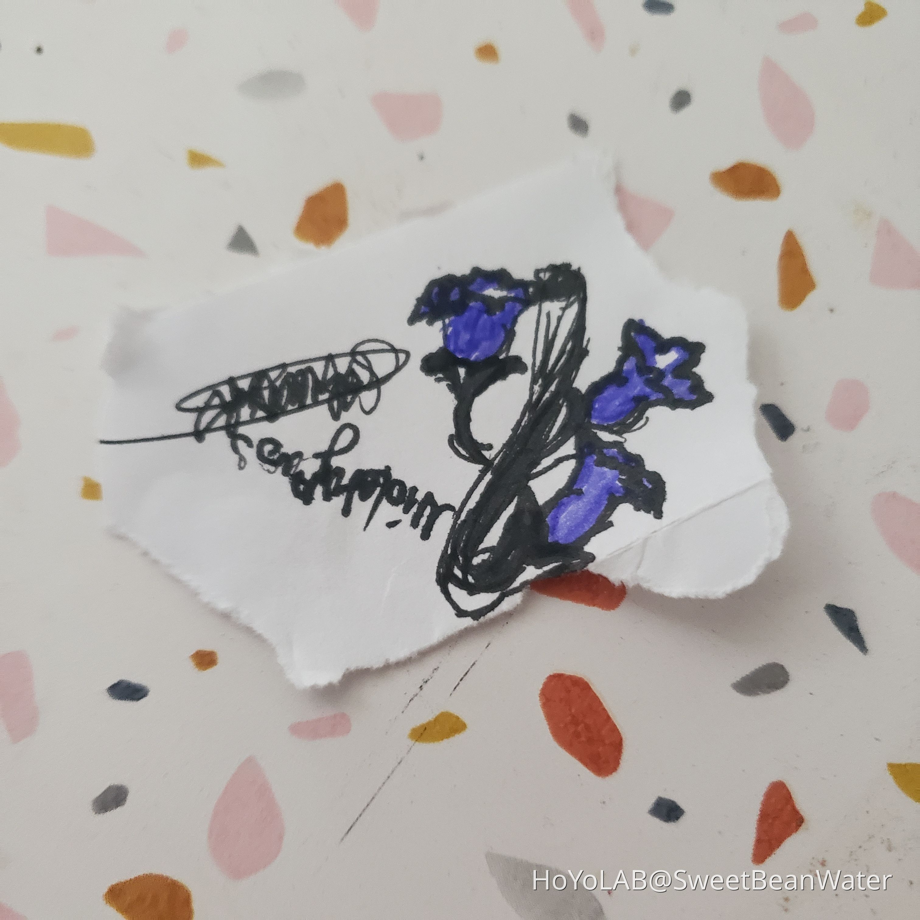 Violet grass!! Genshin Impact | HoYoLAB