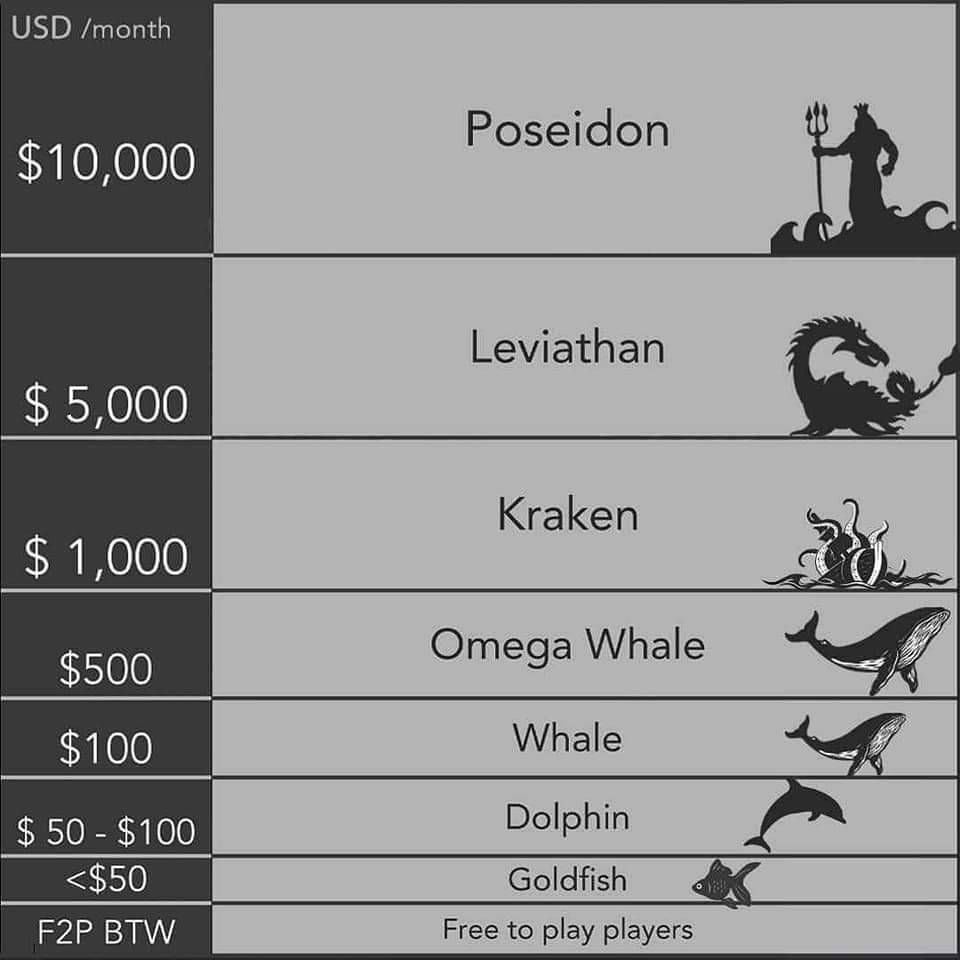 Whale Gatcha Info Genshin Impact | HoYoLAB