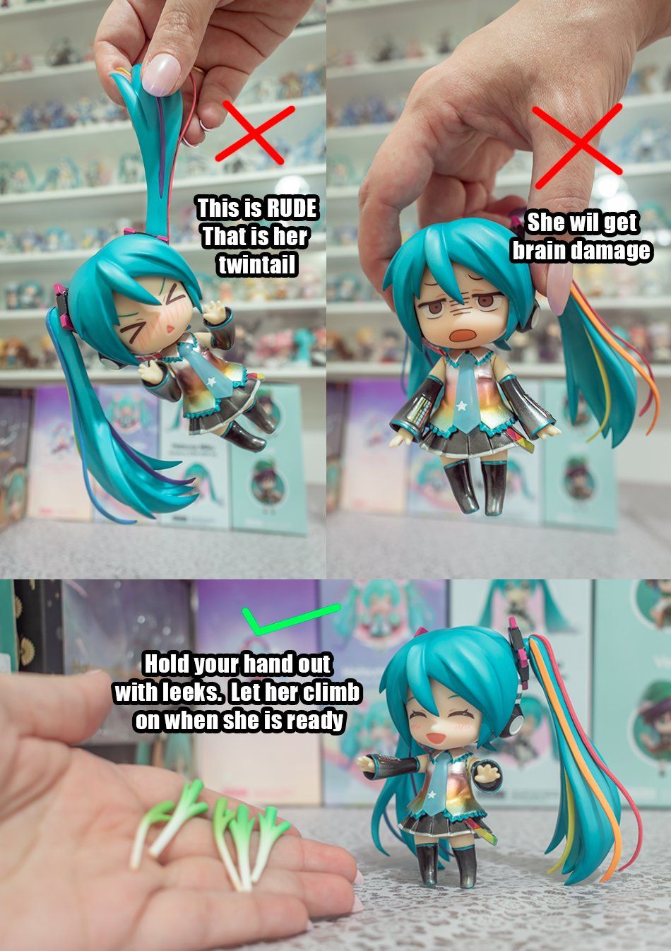 Miku meme | HoYoLAB