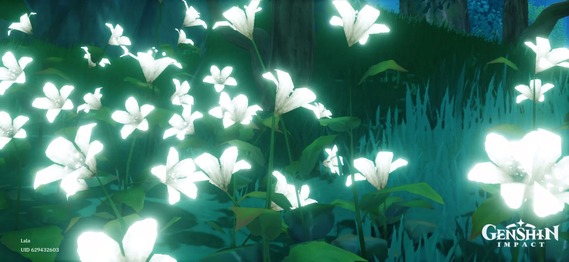 Sumeru Flowers Genshin Impact | HoYoLAB