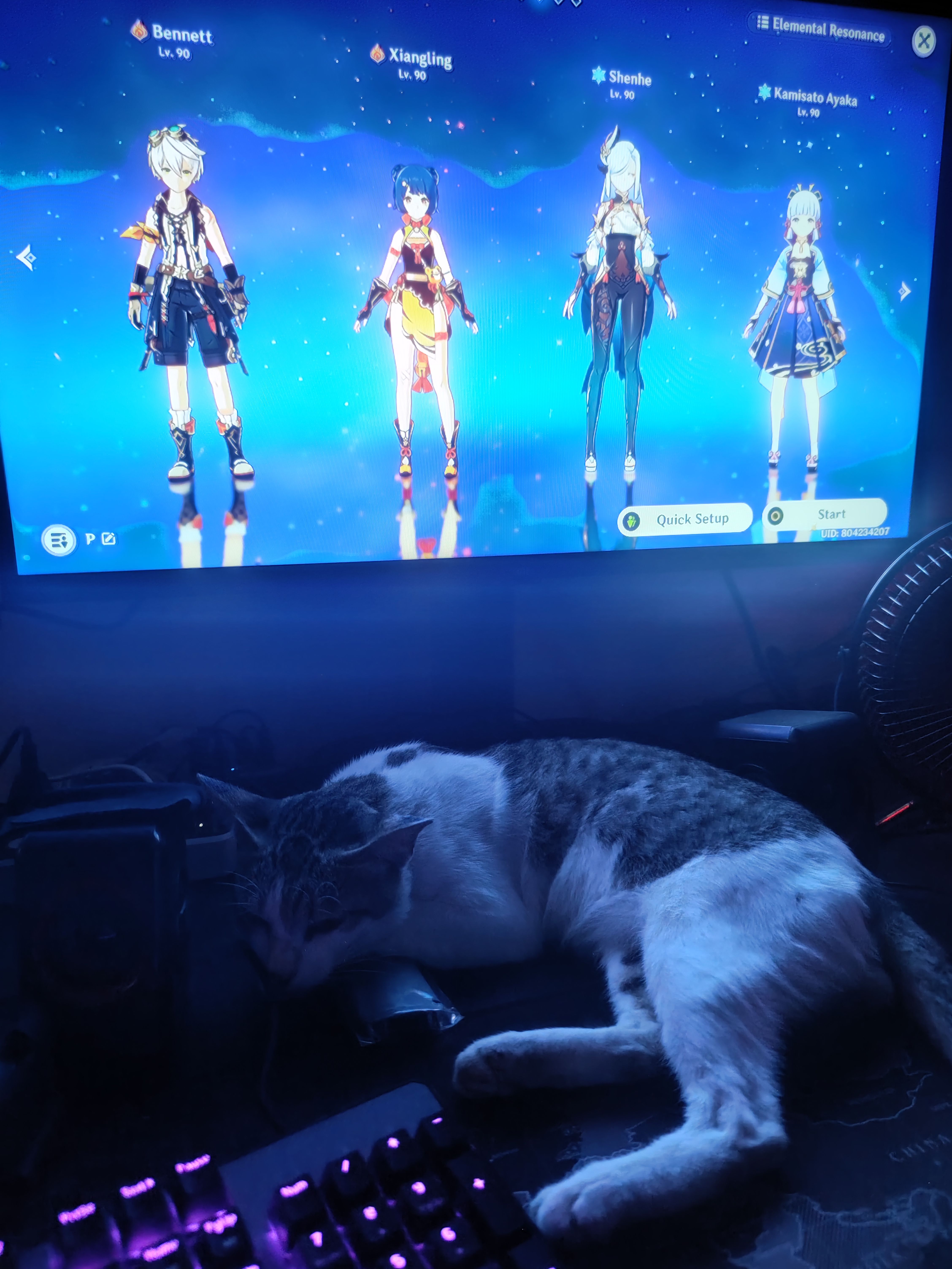 meow-meow Genshin Impact | HoYoLAB