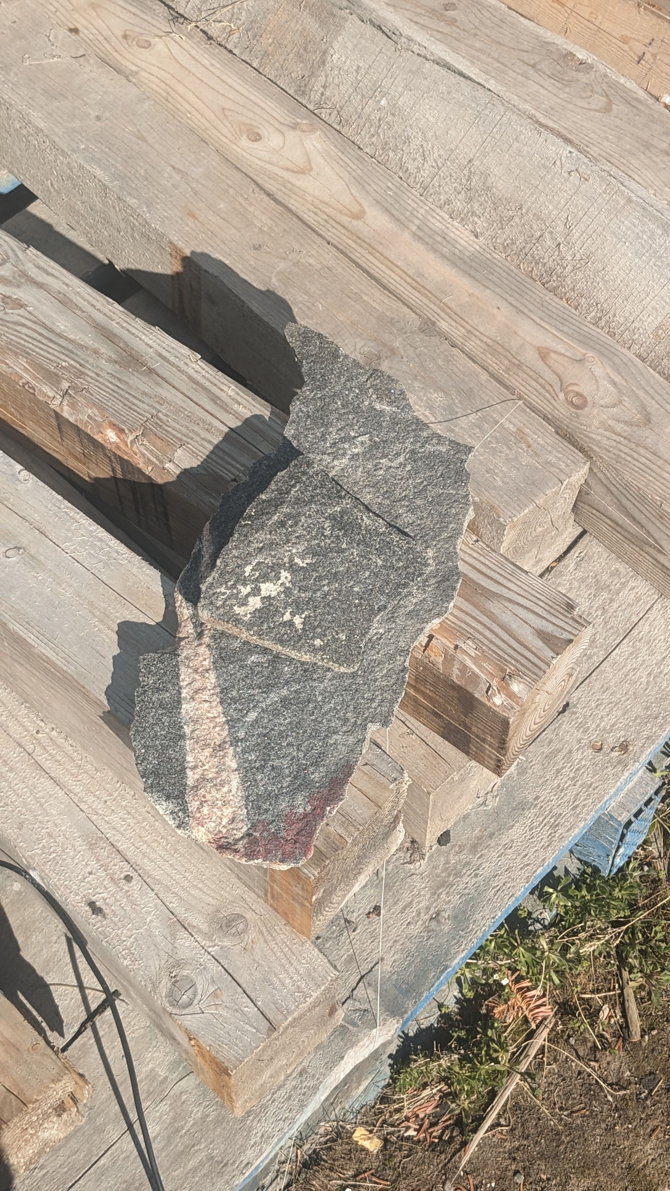 Random stuff outside my house and the last pic is my Signora merch 😘 ...