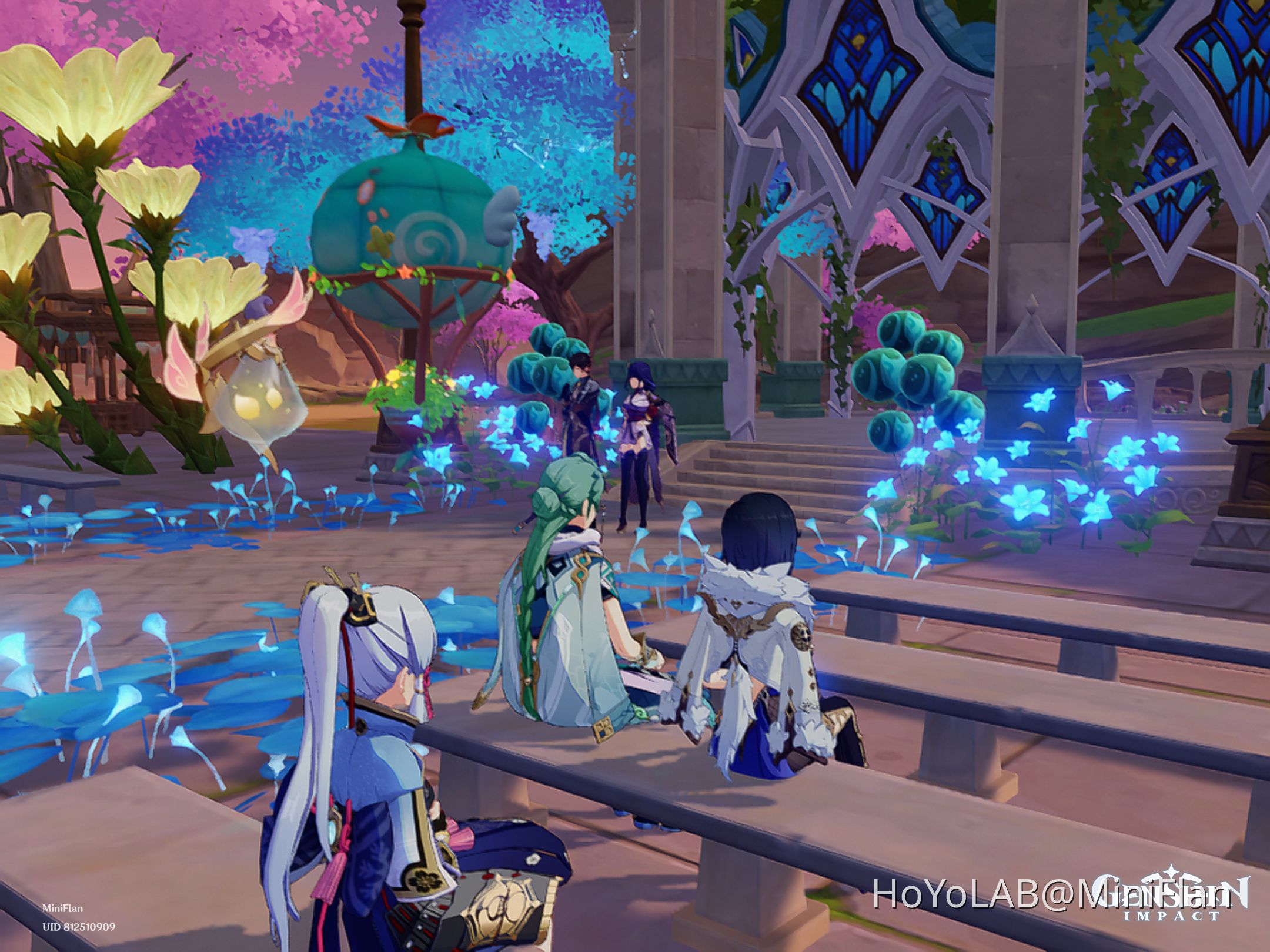 Genshin Screenshot Album Genshin Impact | HoYoLAB