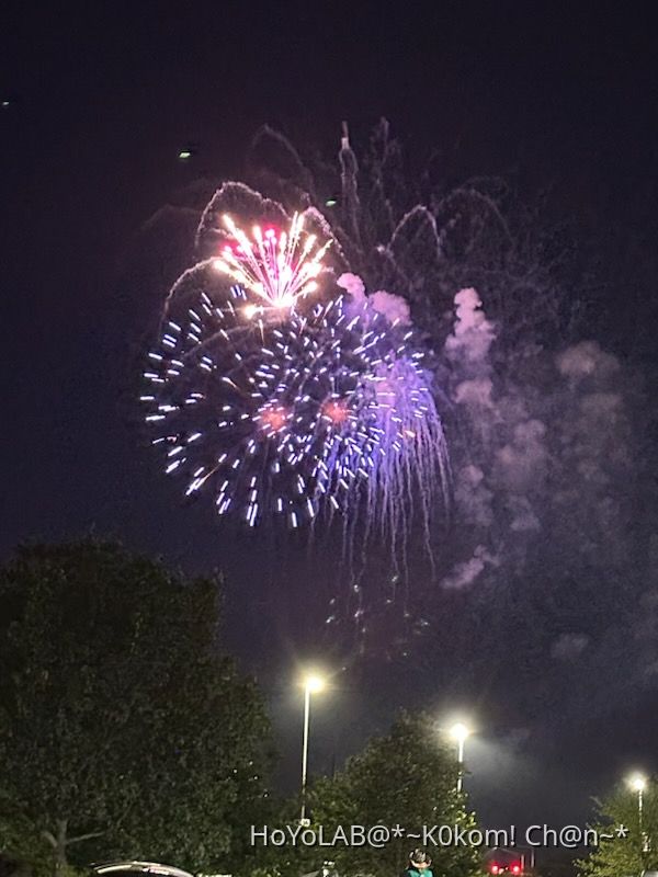 pretty fireworks | HoYoLAB