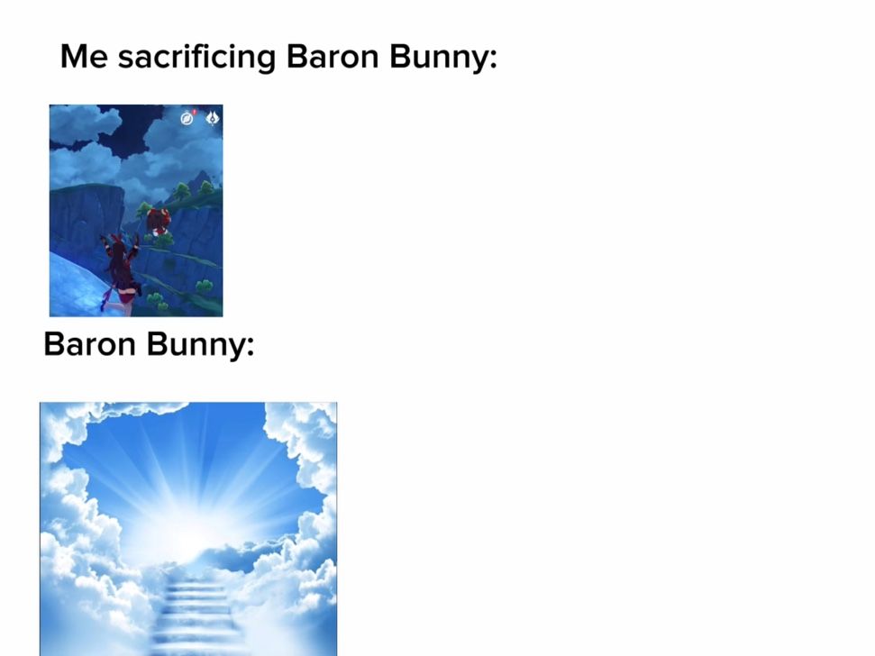 Poor Baron Bunny Genshin Impact | HoYoLAB