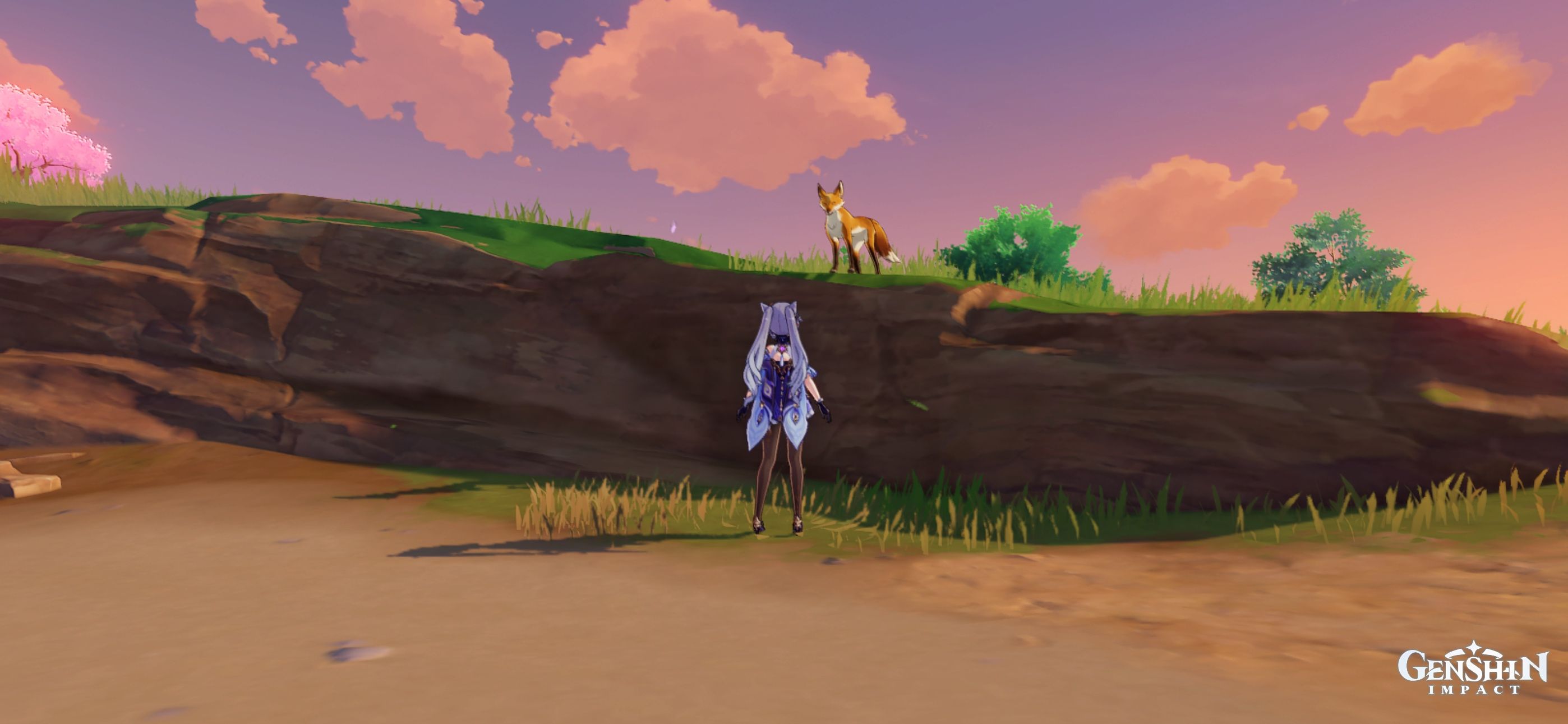 Fox Genshin Impact | HoYoLAB