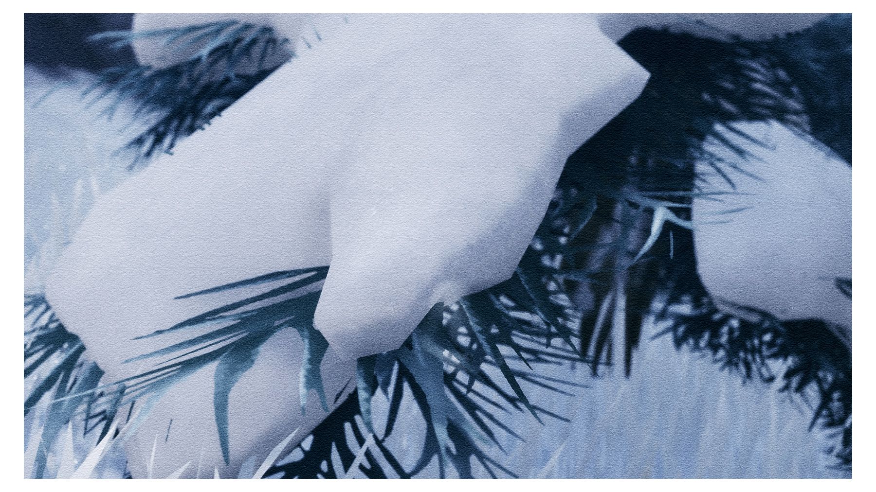 Day 842 “Landscapes that are often overlooked” Genshin Impact | HoYoLAB