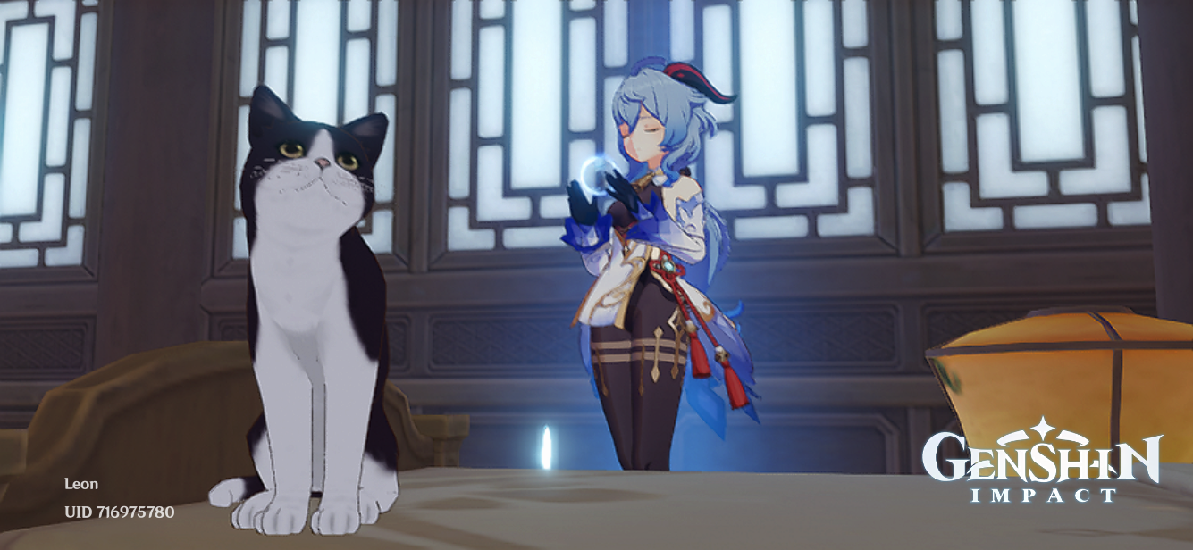 Ganyu cat Genshin Impact | HoYoLAB