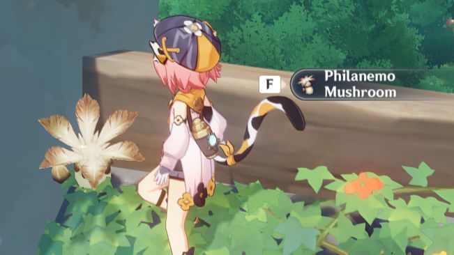 We need a food recipe with Philanemo Mushroom in it. Genshin Impact ...