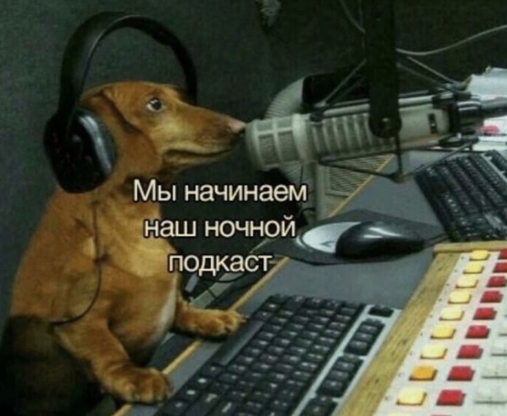 сегодня я получил свой первый тортик в геншине Genshin Impact | HoYoLAB
