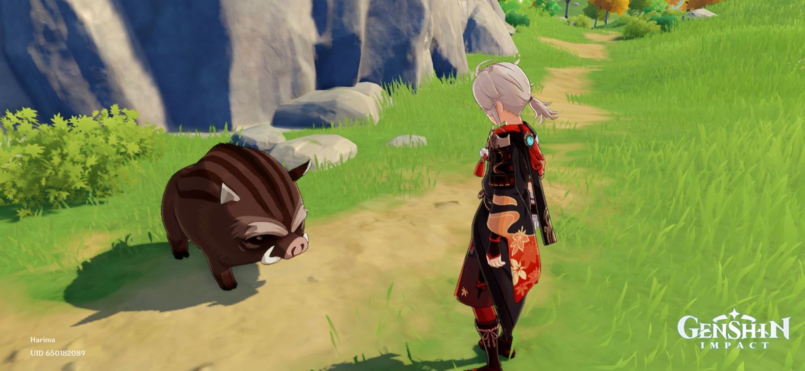 What a nice pig Genshin Impact | HoYoLAB
