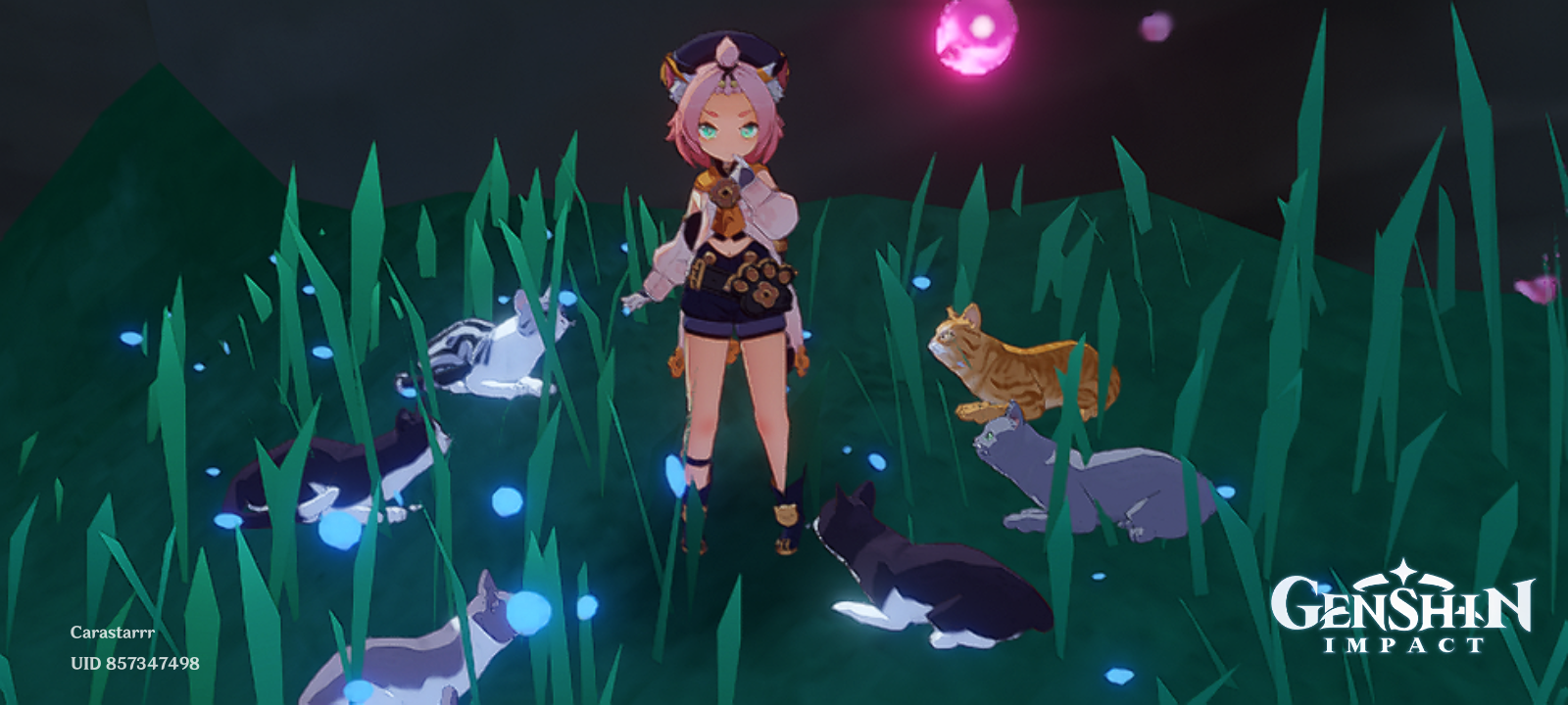 🐱🩷Diona the Cat archon🩷🐱 Genshin Impact | HoYoLAB